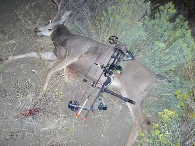 G5 Montec Pass throughs, Kills | Archery Talk Forum